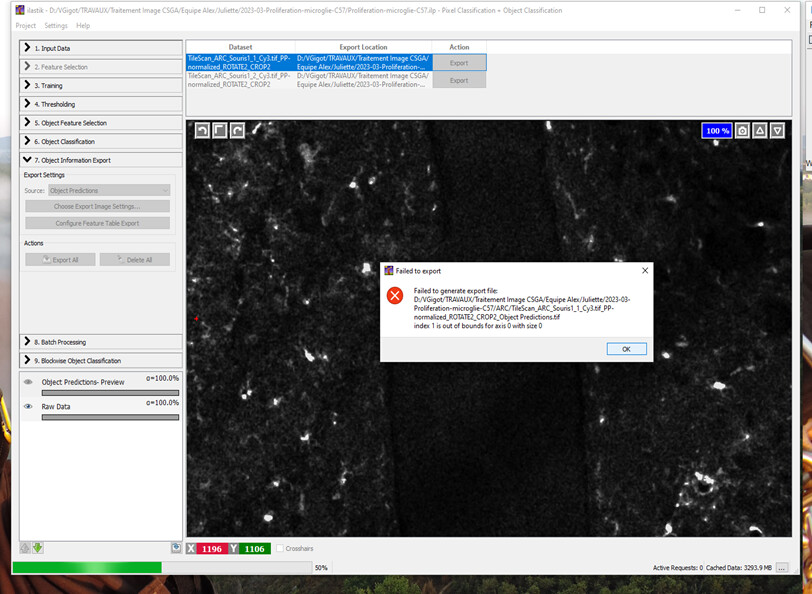Data exportation from Ilastik segmentation project : error message - Usage & Issues - Image.sc Forum