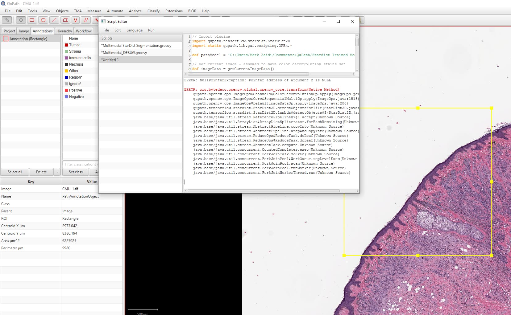Universal StarDist for QuPath - Transfer Pretrained Models Across Modalities With Ease ...
