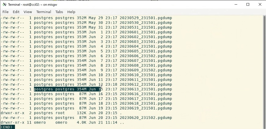 Rebuild of OMERO server after hardware failure on physical server - Usage & Issues - Image.sc Forum
