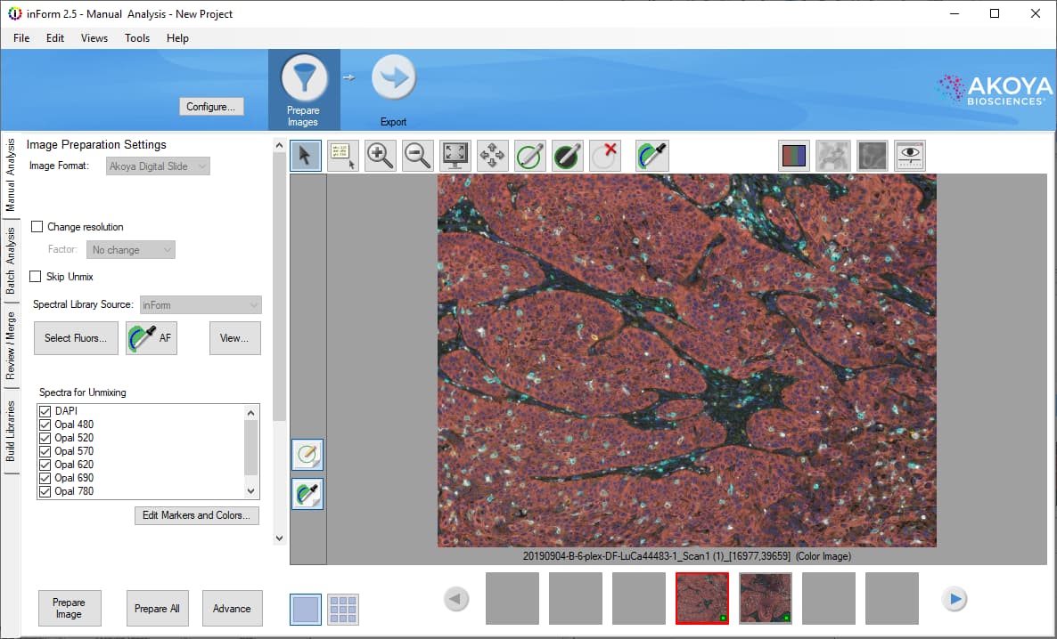 How to add scale bar in Inform software - Image Analysis - Image.sc Forum