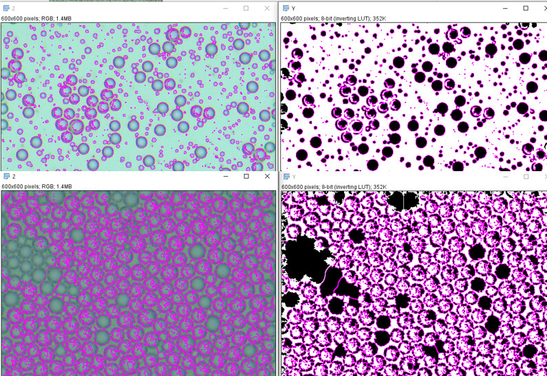 Circular particle thresholding and identification - Image Analysis - Image.sc Forum