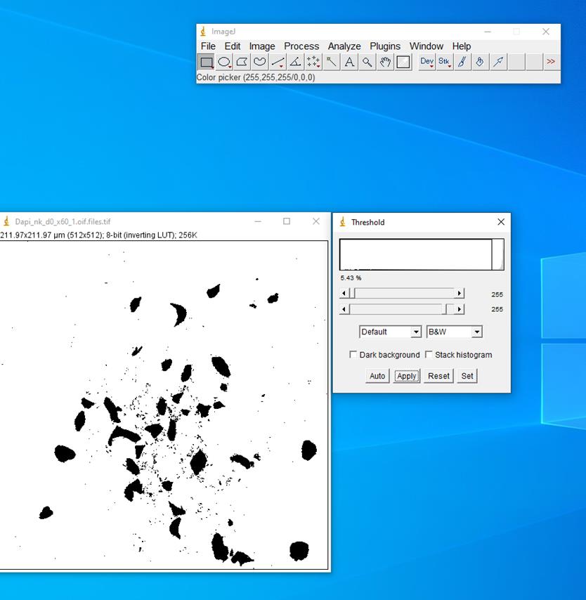 Unable to count integrated density due to thresholding error - Usage & Issues - Image.sc Forum