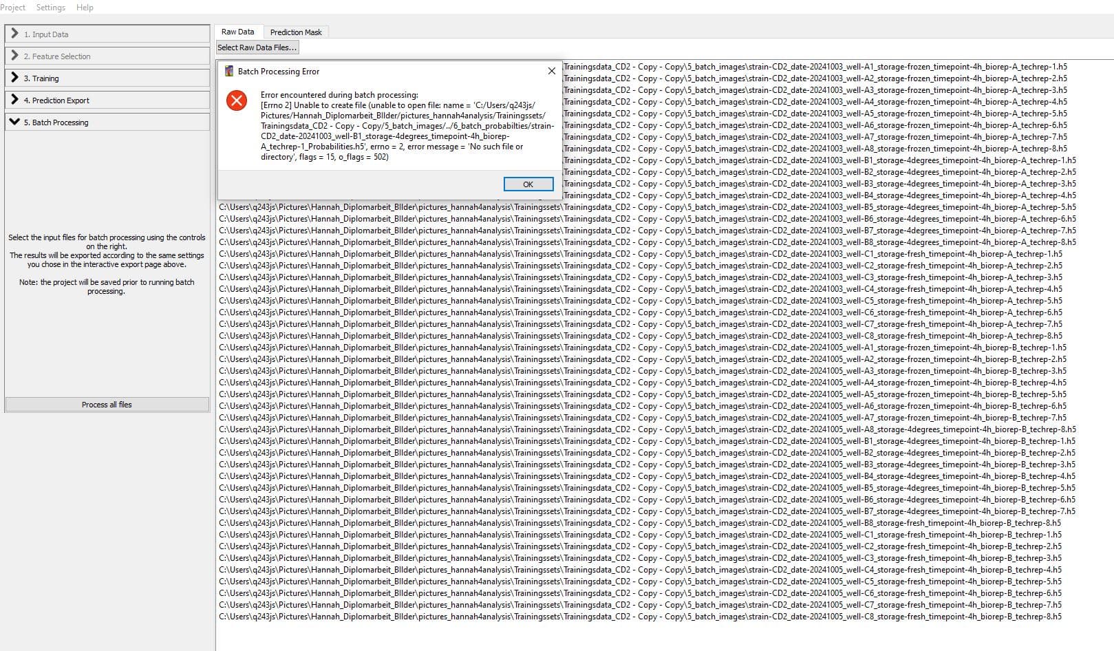 Ilastik: Error encountered during during batch processing [Errno2] - Usage & Issues - Image.sc Forum