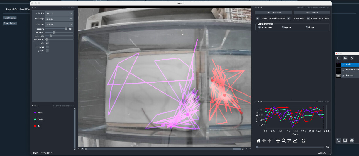 The training dataset could not be created (multi animal project) - Usage & Issues - Image.sc Forum