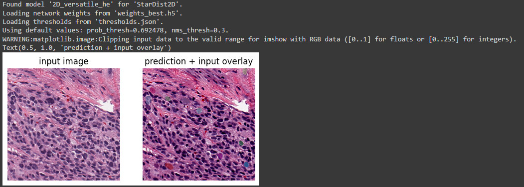 Trying to apply Stardist (Python) on low resolution / small images (256x256) with pretrained 2D ...