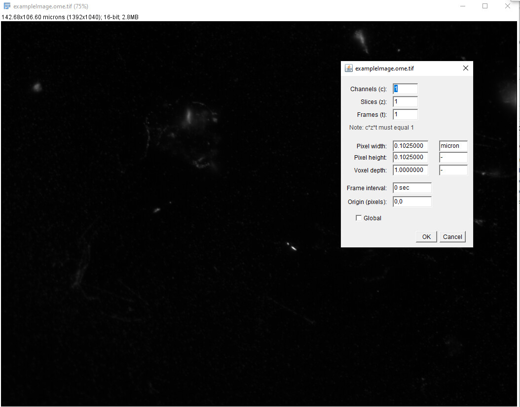 Fiji - Script Editor - Batch button - Usage & Issues - Image.sc Forum