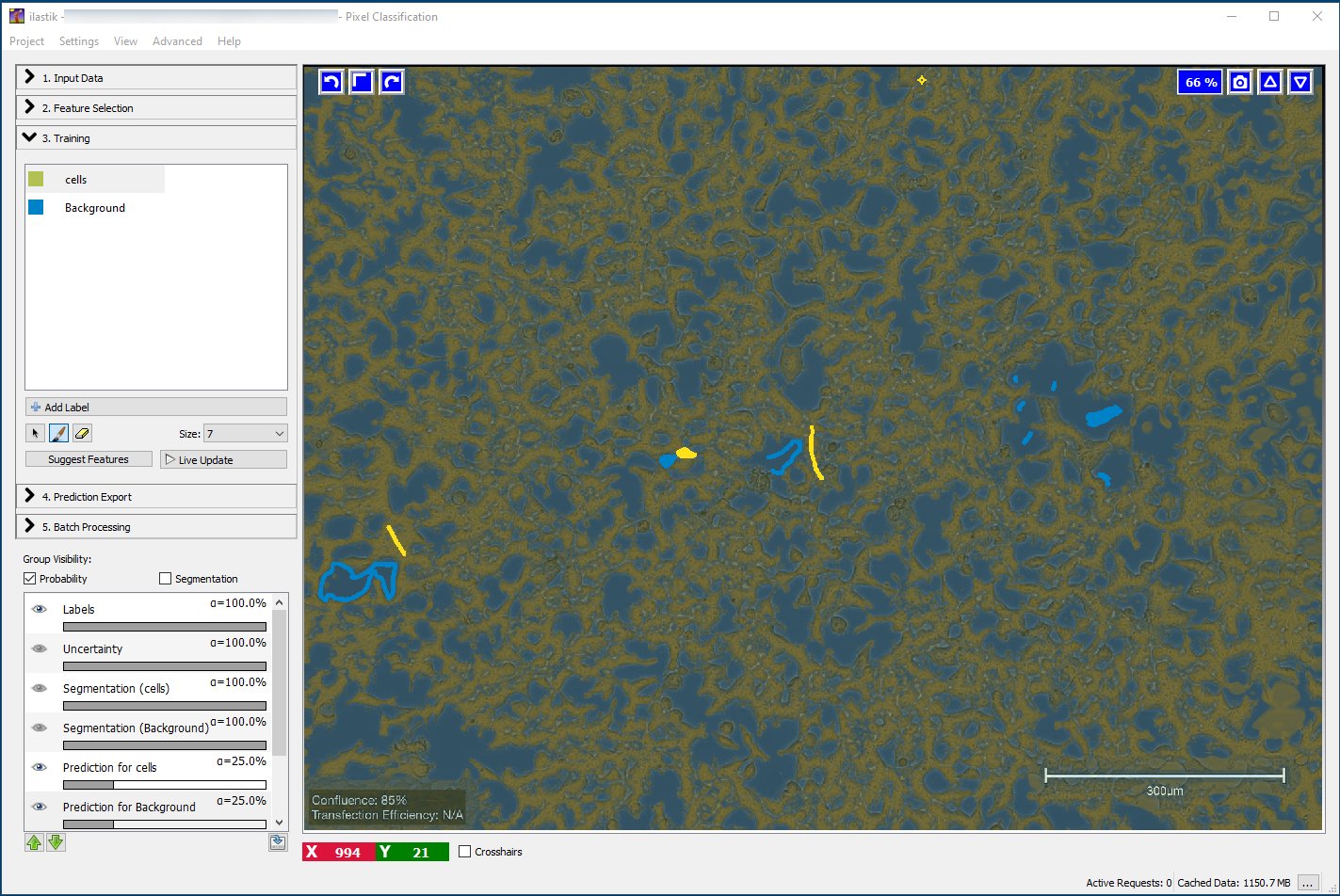 Confluency measurement - Image Analysis - Image.sc Forum