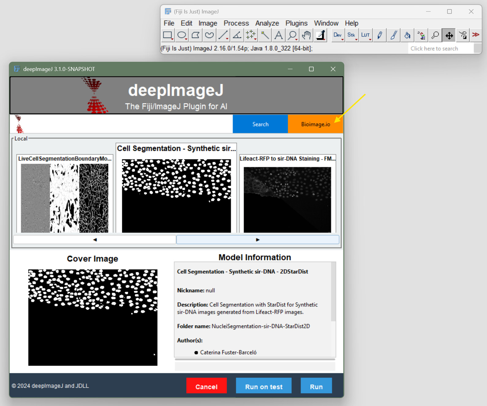 Which version of DeepImageJ to use? - Usage & Issues - Image.sc Forum