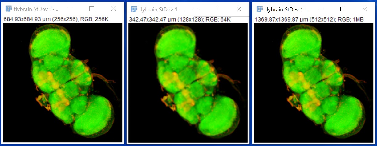 Problem With Pixel Size Upon Batch Scaling With Fiji Usage And Issues Imagesc Forum