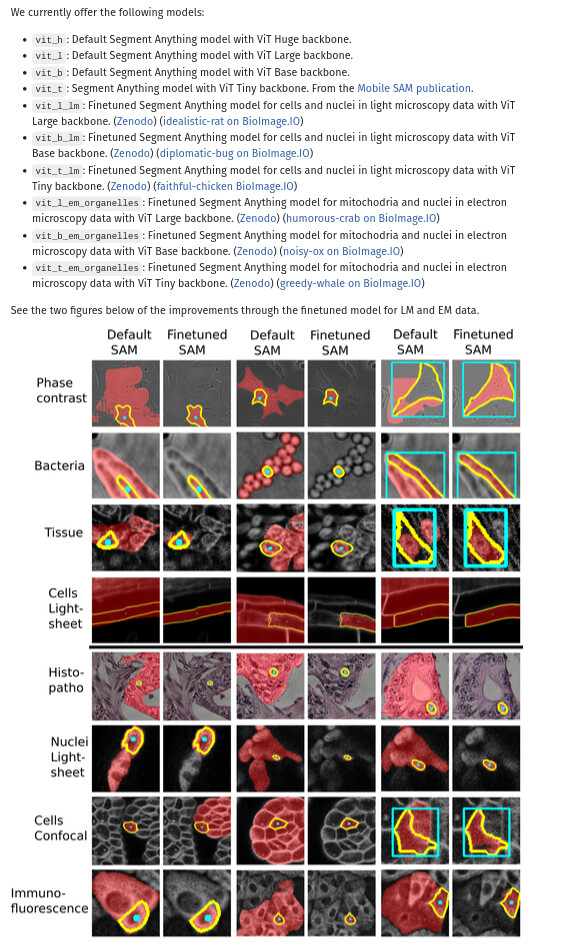 Built-in fiene-tuned models - Usage & Issues - Image.sc Forum