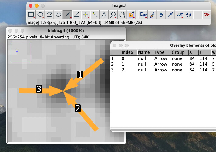 Getting coordinates of "red triangle arrow" annotations in ImageJ ...