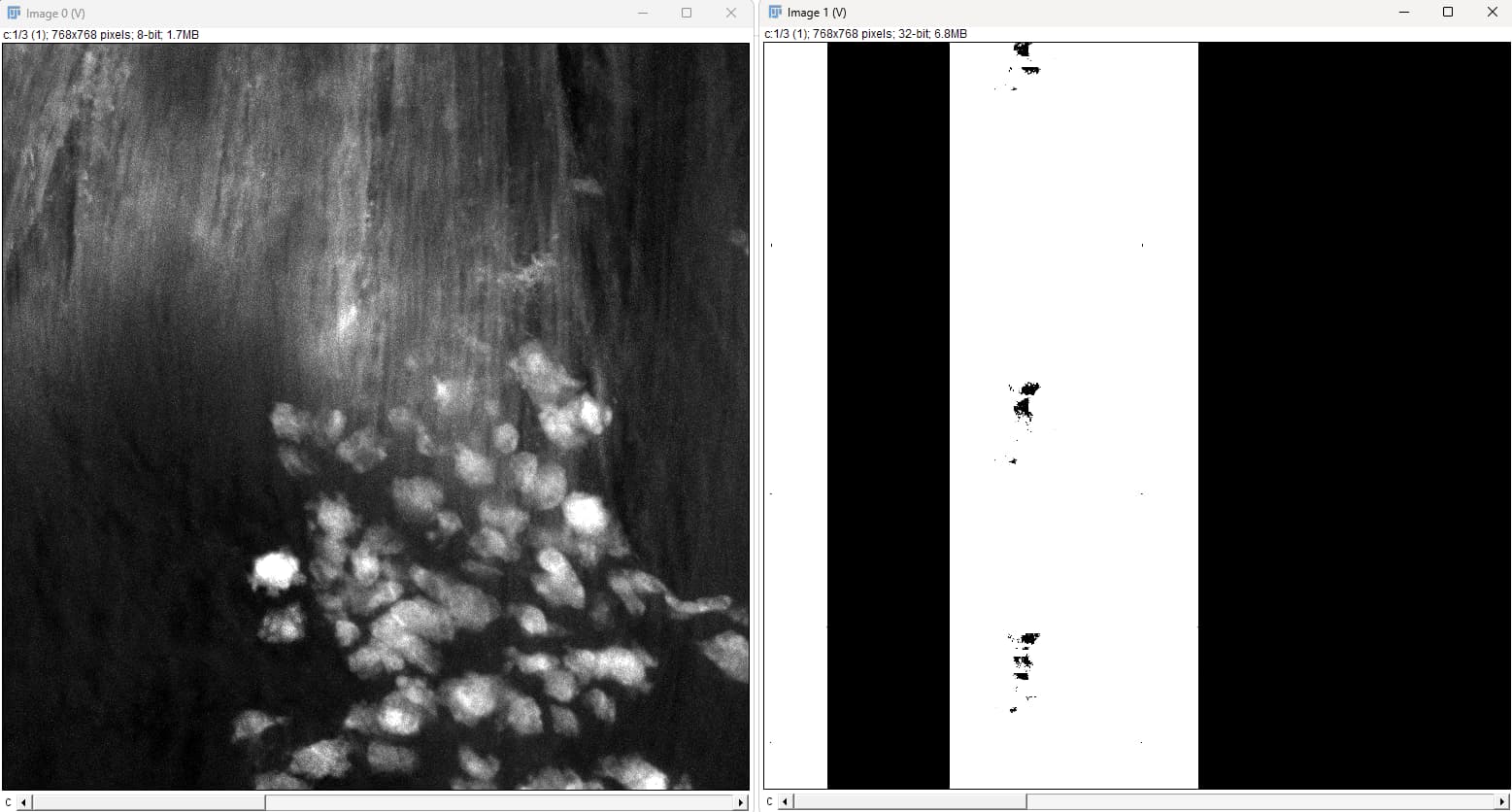 Deepimagej model not working after update - Usage & Issues - Image.sc Forum