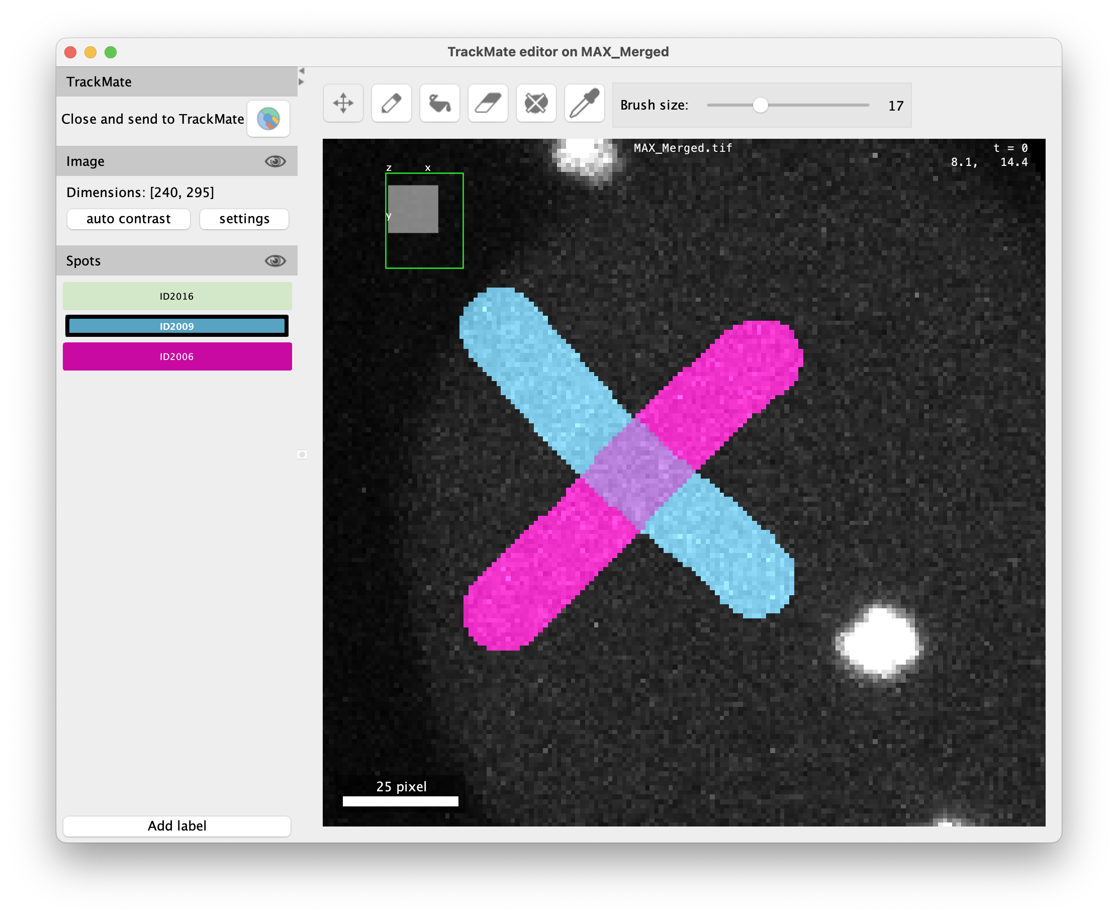 TrackMate v8 - segmentation editor and Python CLI integration ...