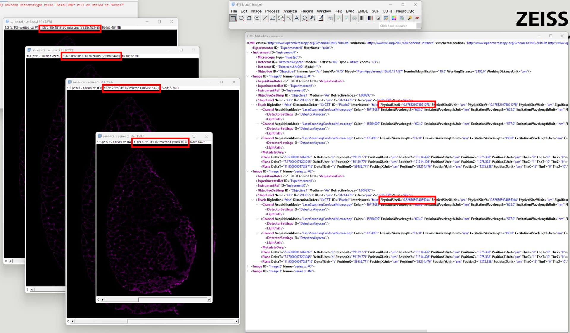 Incorrect pixel scaling on CZI image series - Usage & Issues - Image.sc Forum