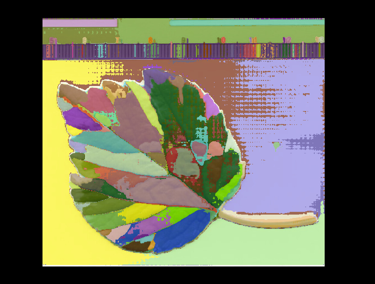 Creating Label Images with the Segment Anything Model (guide) - Image Analysis - Image.sc Forum