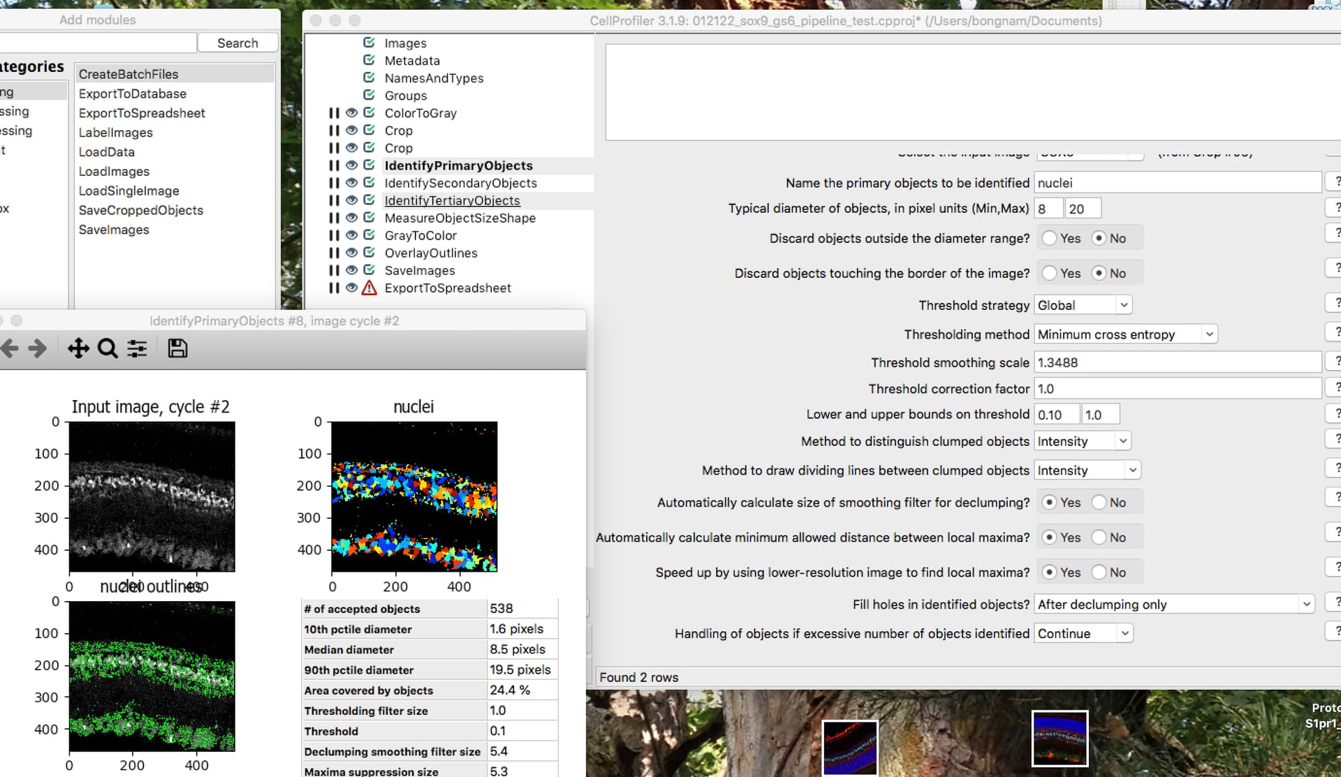Counting gilal cells in tissue using cellprofiler - Image Analysis - Image.sc Forum