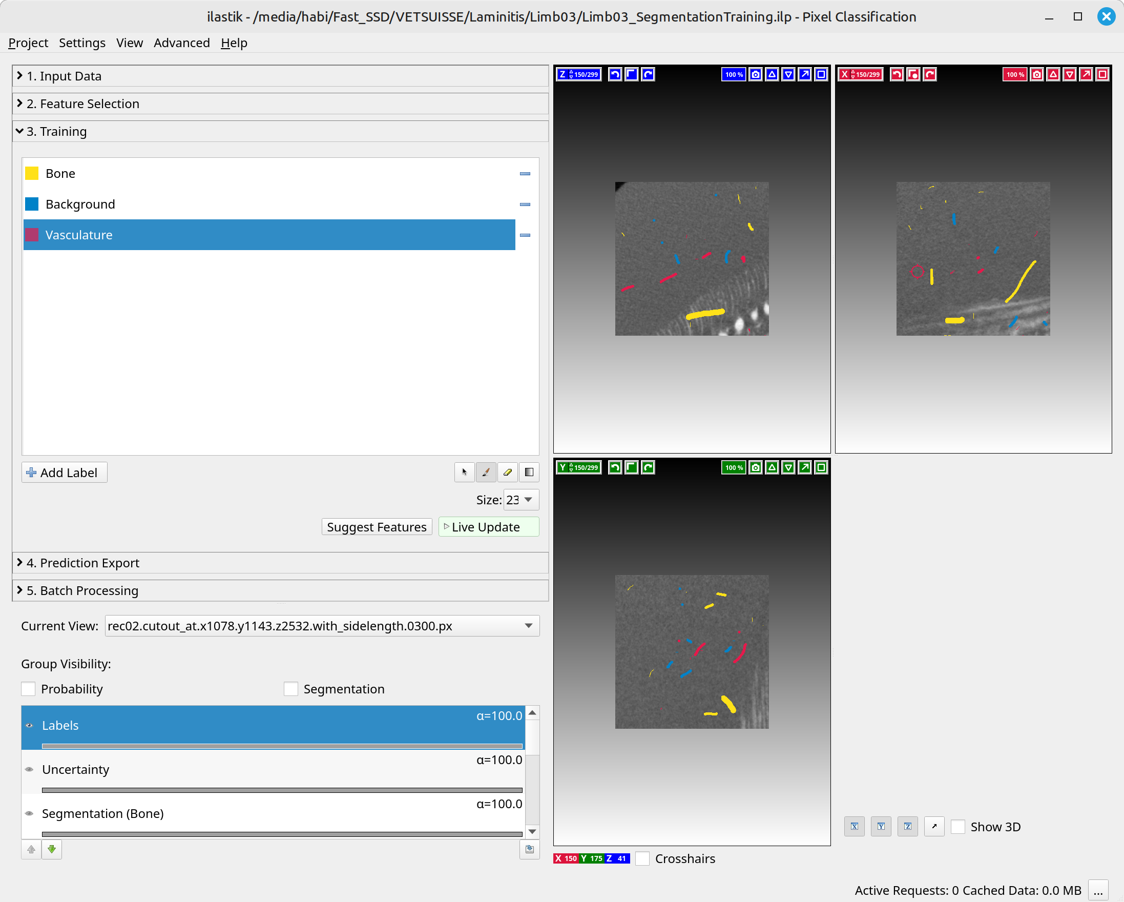 Labeling of *large* dataset with ilastik - Image Analysis - Image.sc Forum