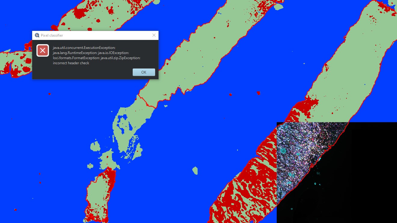 Incomplete pixel classification - Image Analysis - Image.sc Forum