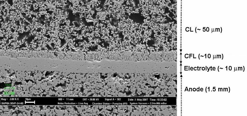 Weka Segmentation: Generating ROI from semantic segmentation and ...