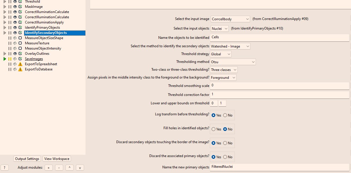 How to fix strange segmentation of secondary objects? - Image Analysis - Image.sc Forum