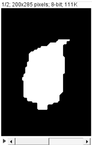 How to sharp pixelated edges - Usage & Issues - Image.sc Forum