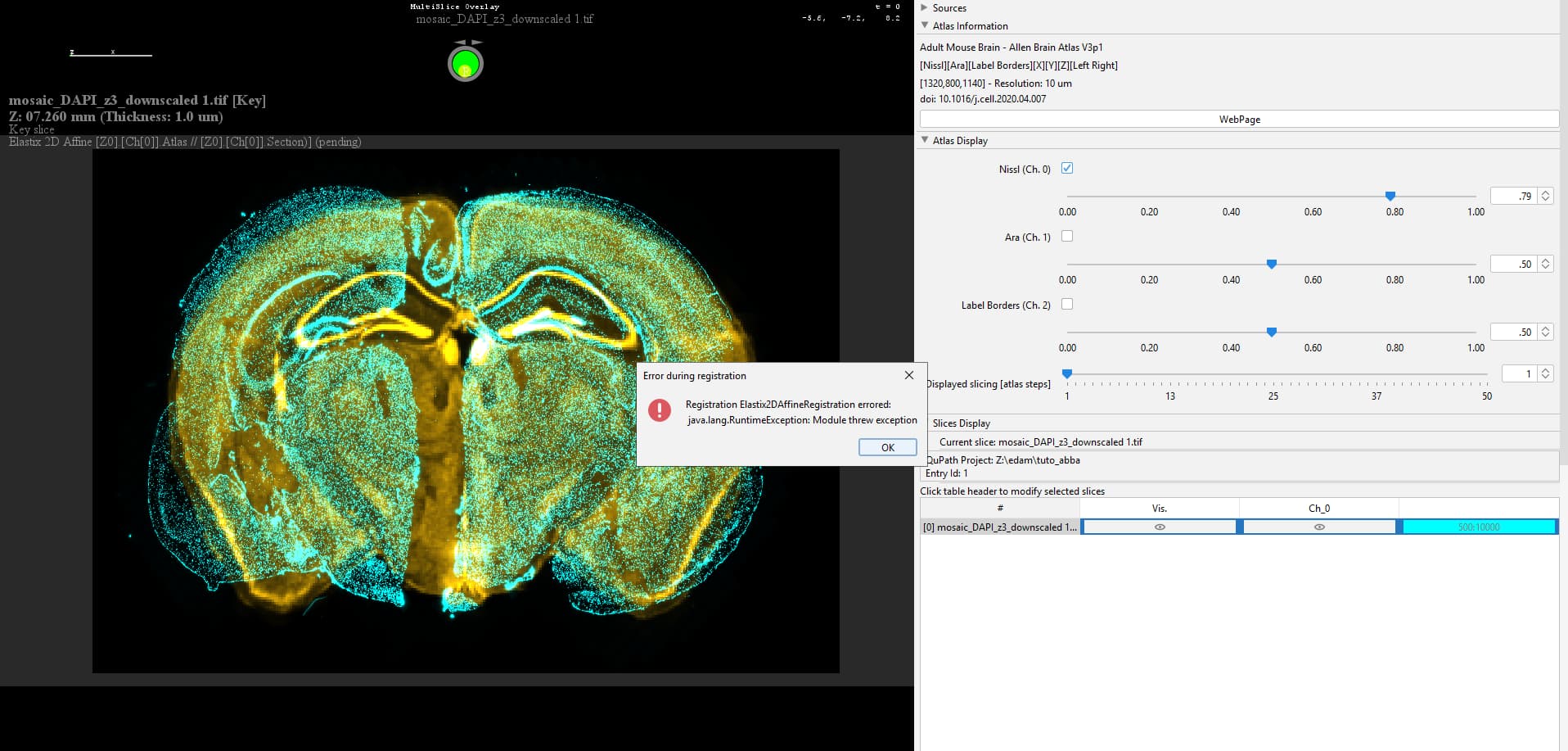 ABBA Elastix Affine registration error - Image Analysis - Image.sc Forum