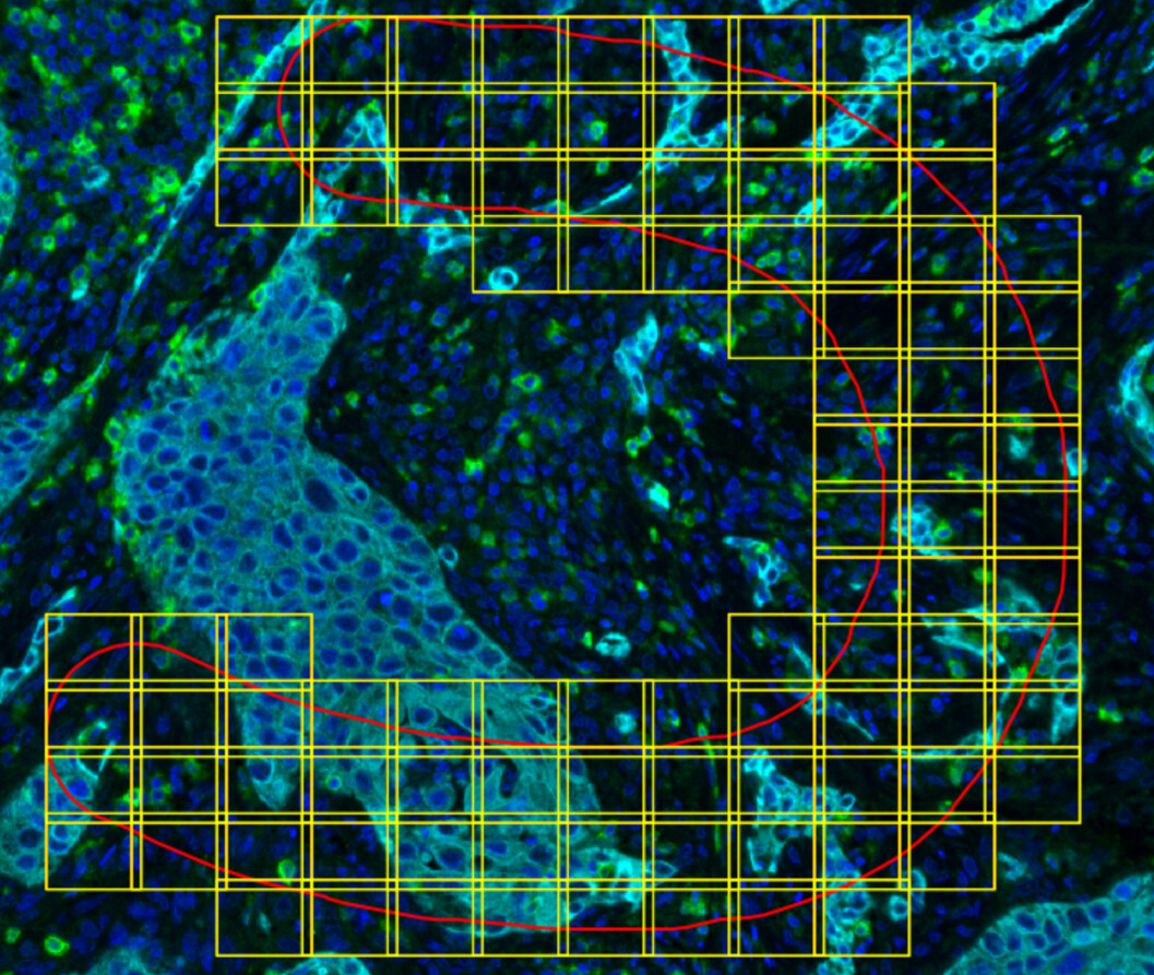 TileExporter using bounding box - Usage & Issues - Image.sc Forum