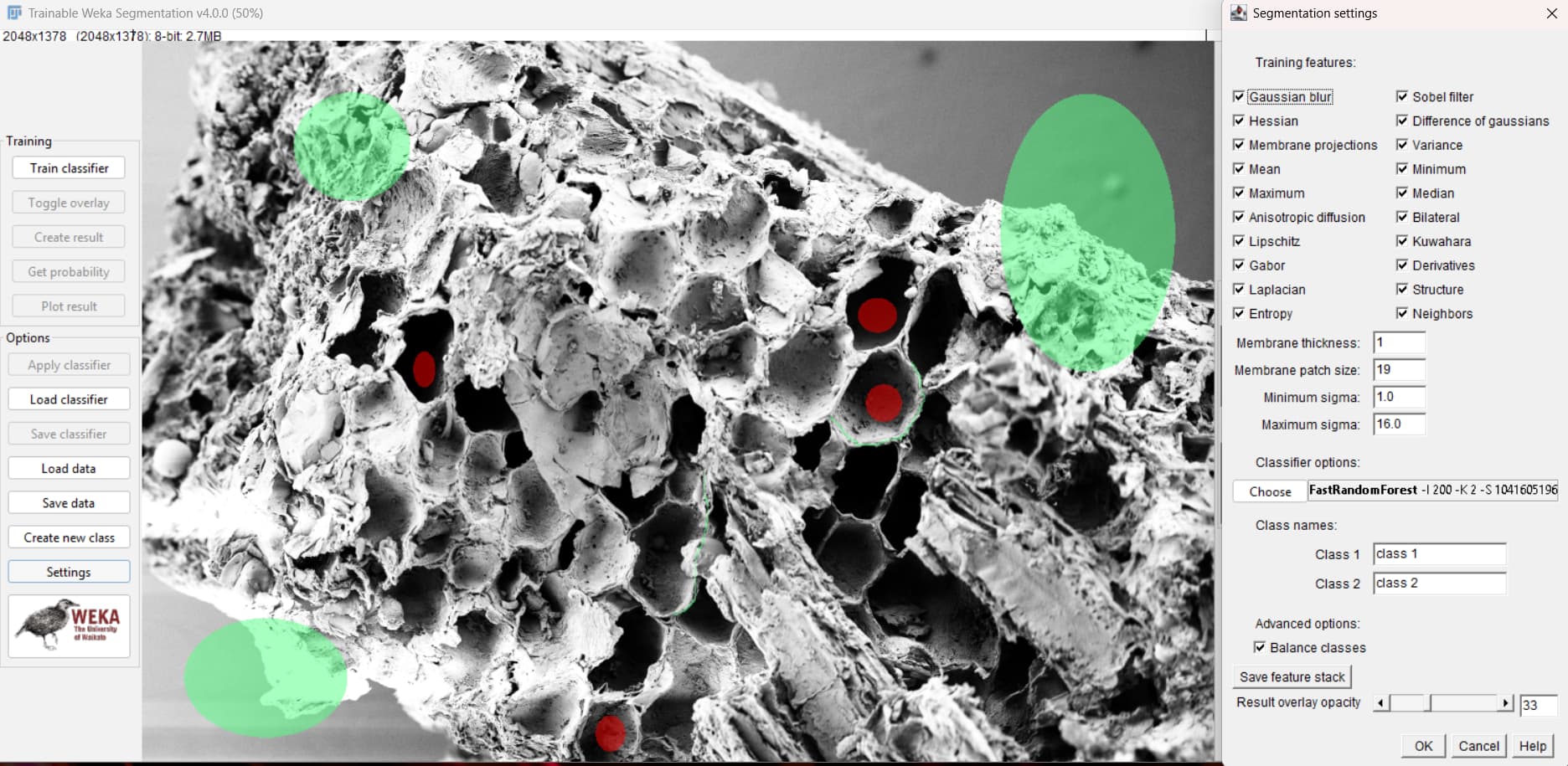 I would like to run a WEKA segmentation in ImageJ for a hydrochar ...