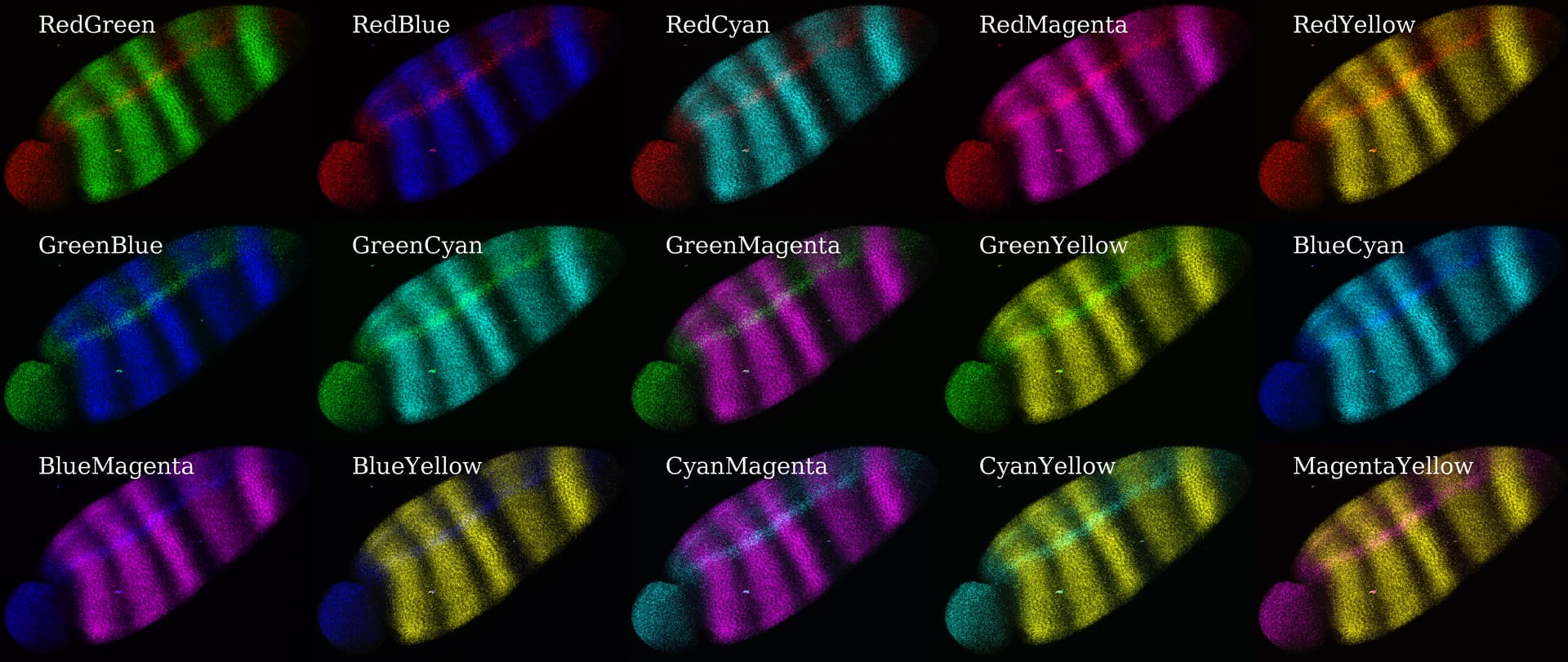 Colourblind friendly colour combinations - Image Analysis - Image.sc Forum