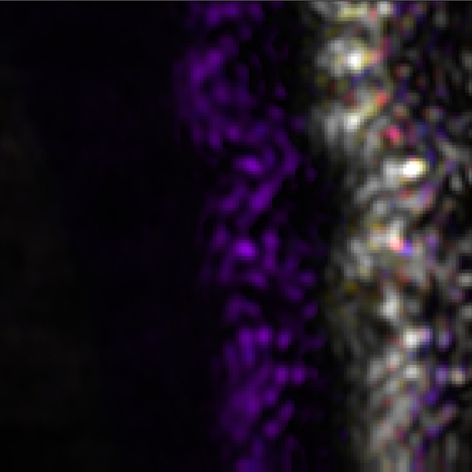 Convert video into temporal color-coded images - Usage & Issues - Image ...