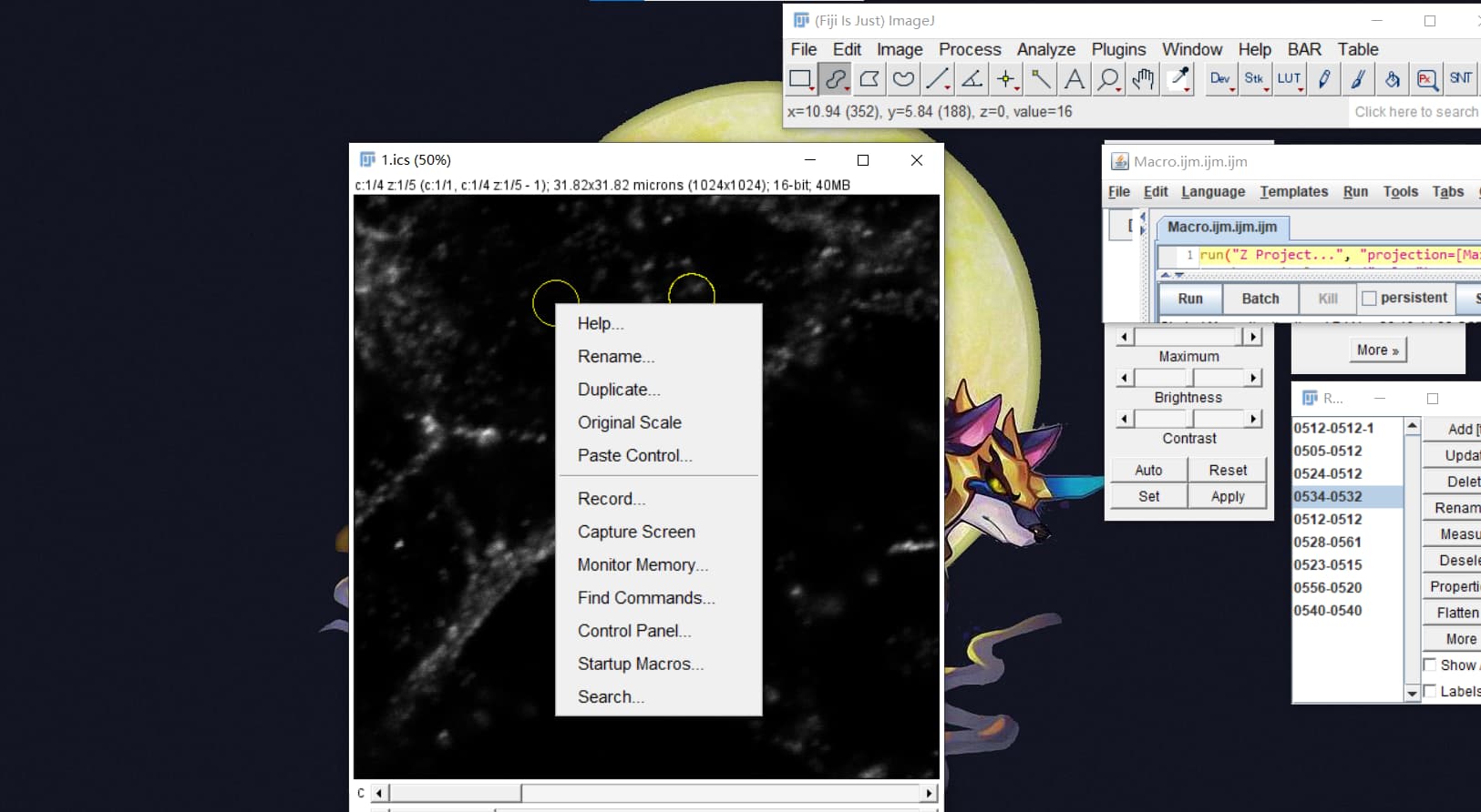 Imagej selection brush tools error - Usage & Issues - Image.sc Forum
