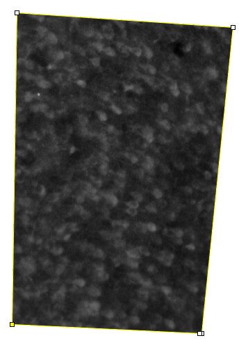 Particle Analysis and Image Thresholding - Image Analysis - Image.sc Forum