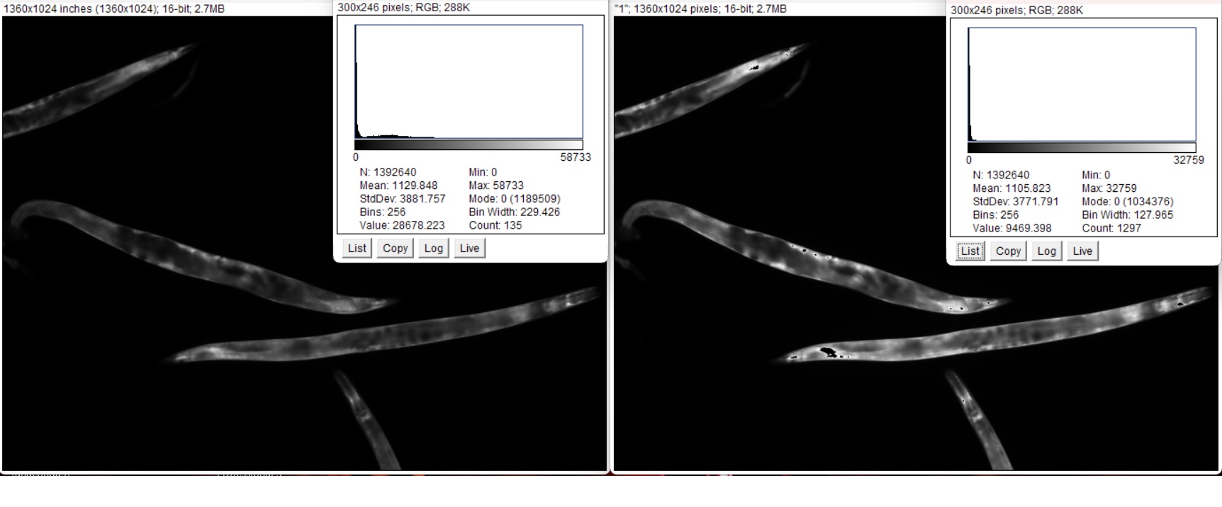 Subtract background from an image - Development - Image.sc Forum