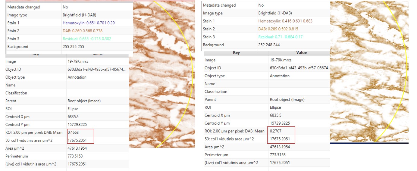 The area measurement remains the same after modifying the stain ...
