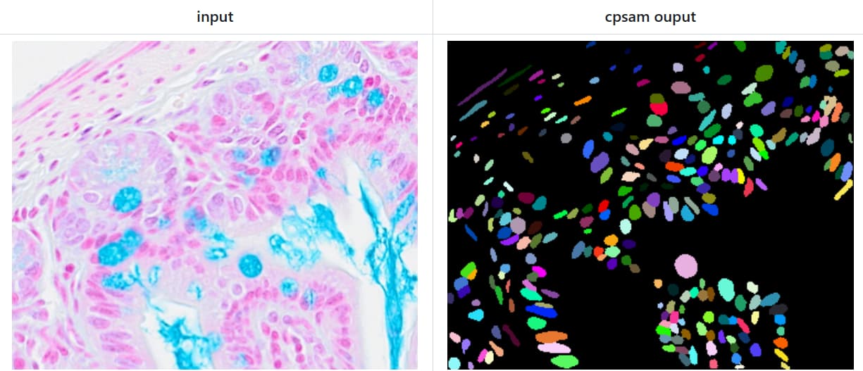 Cellpose-SAM - QuPath extension - Usage & Issues - Image.sc Forum