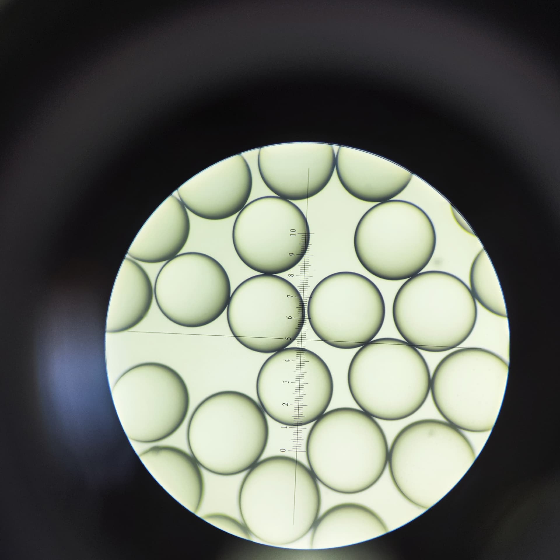 Use image j for fully automatic particle size measurement - Image Analysis - Image.sc Forum