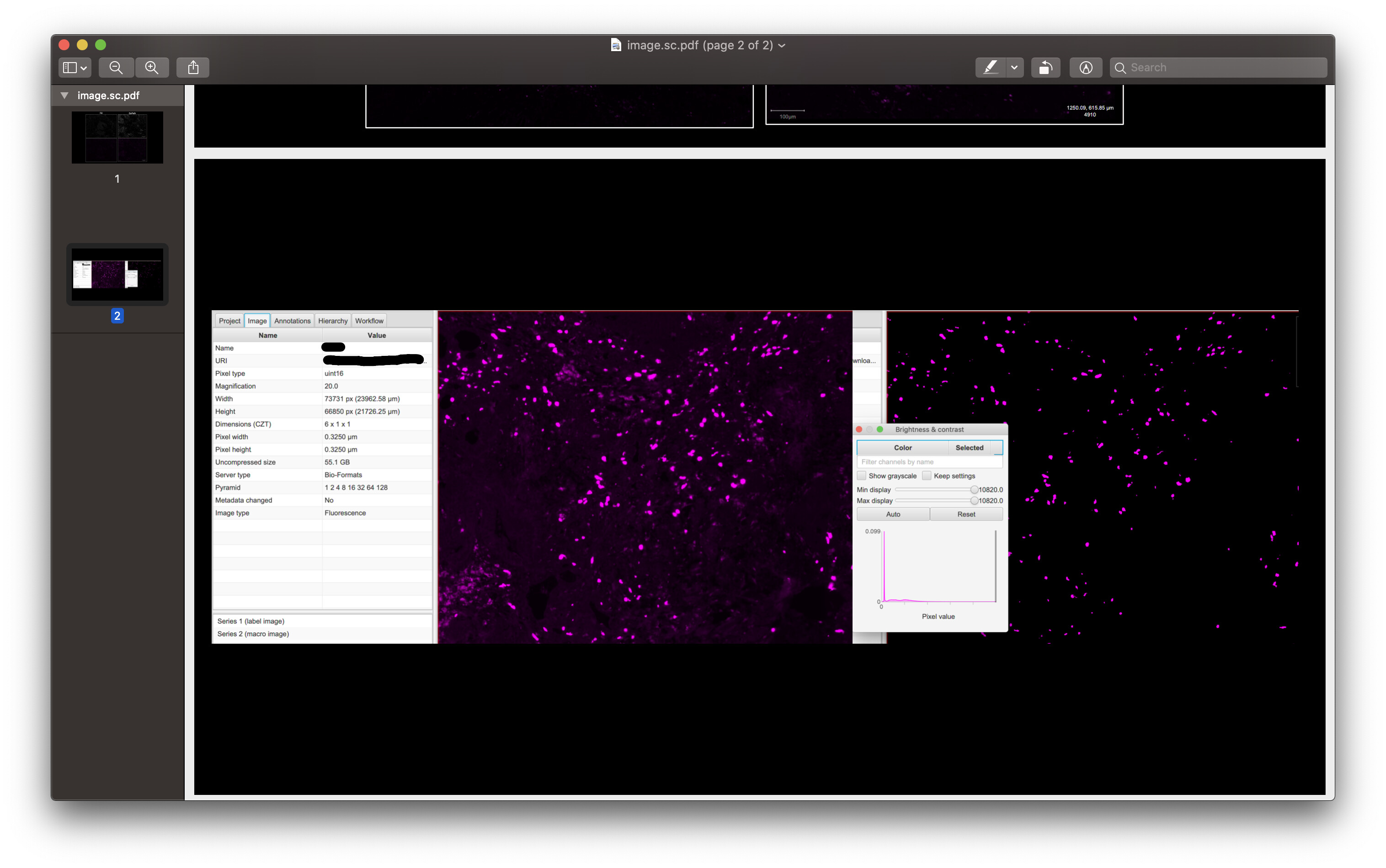 Problem with importing CZI files - Usage & Issues - Image.sc Forum