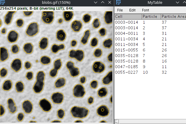 Determining which cell particles belong to - Image Analysis - Image.sc ...