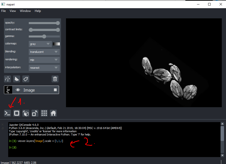 Changing the voxel size in Napari - Usage & Issues - Image.sc Forum
