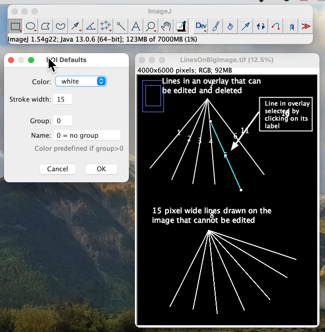 How to draw lines that aren't automatically segmented - Usage & Issues - Image.sc Forum