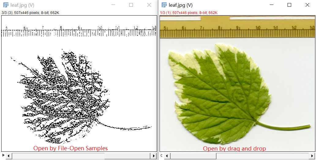 Imagej exhibits abnormal behavior when opening RGB images - Usage & Issues - Image.sc Forum