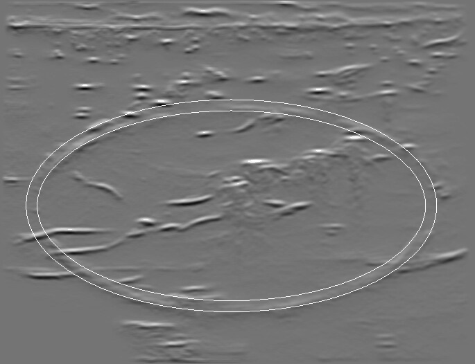 How to draw concentric ellipses around a defined ellipse in an image? - Image Analysis - Image ...