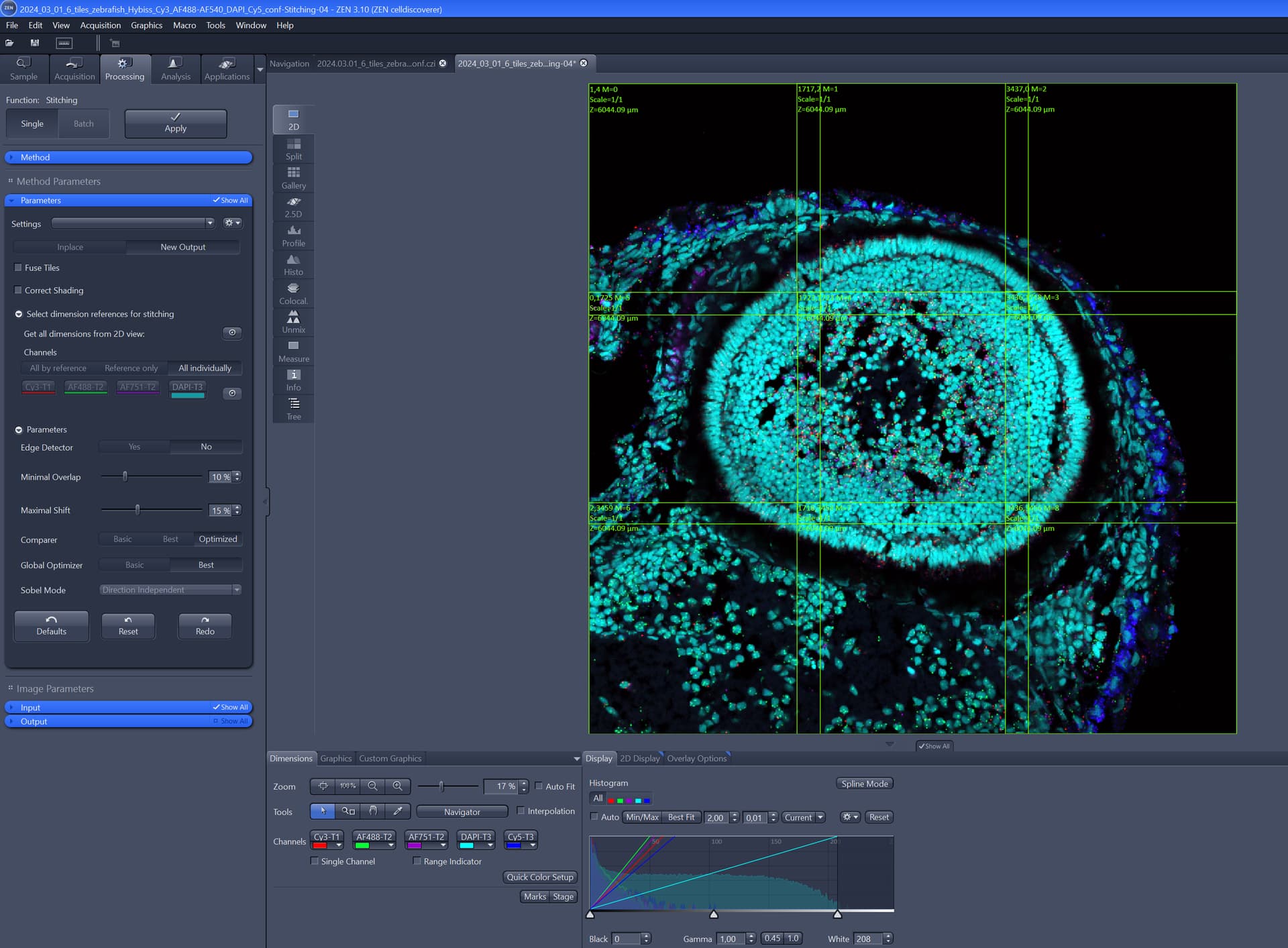 Grid/Collection Stitching and CZI File: ERROR: Inconsistent series layout - Usage & Issues ...