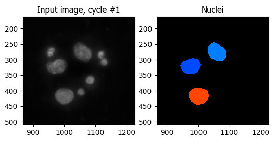Pipeline for Identifying LysoTracker puncta - Image Analysis - Image.sc ...