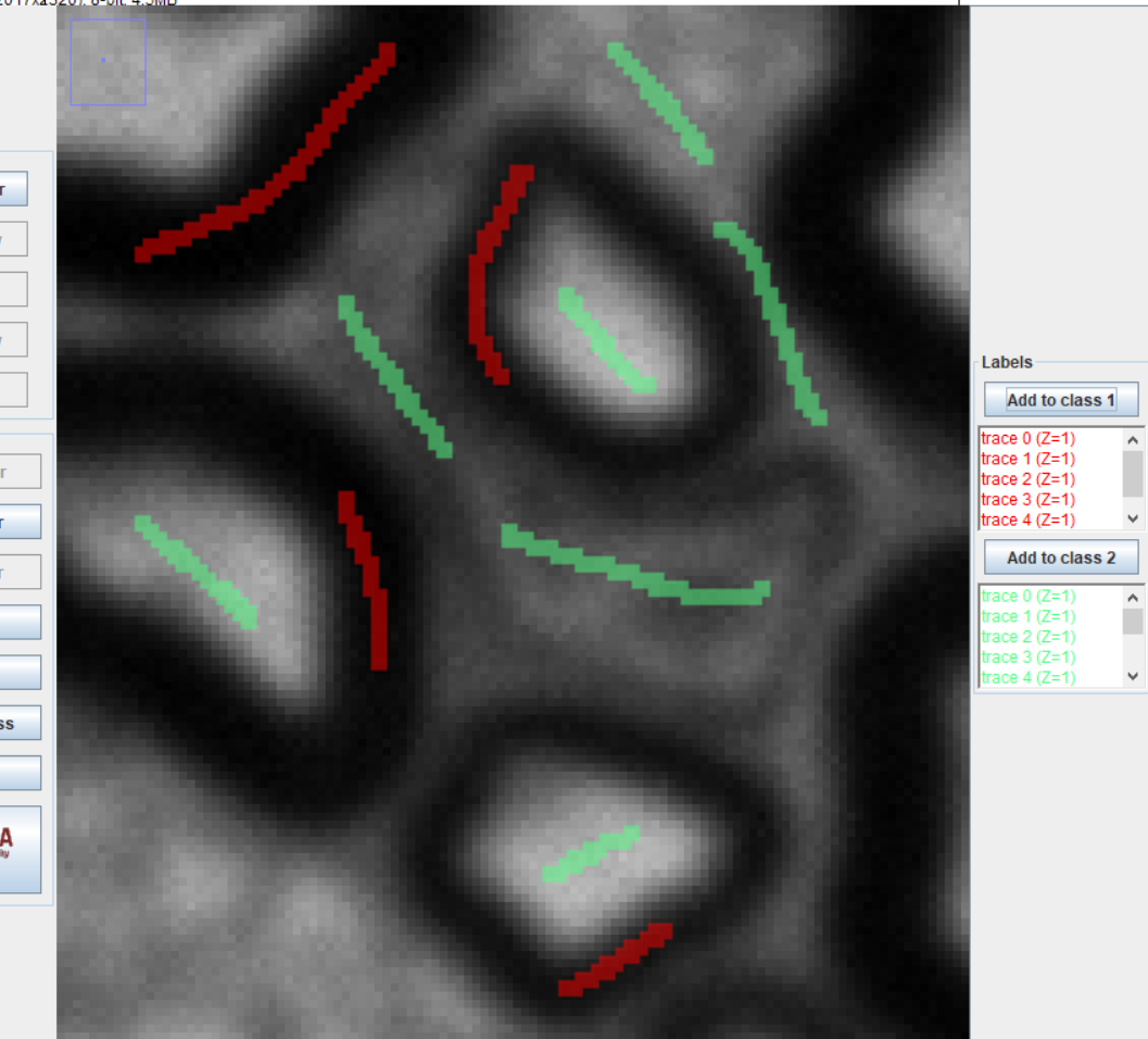 Troubleshooting High Java Heap Space Usage with Trainable Weka Segmentation in Fiji for Axon ...