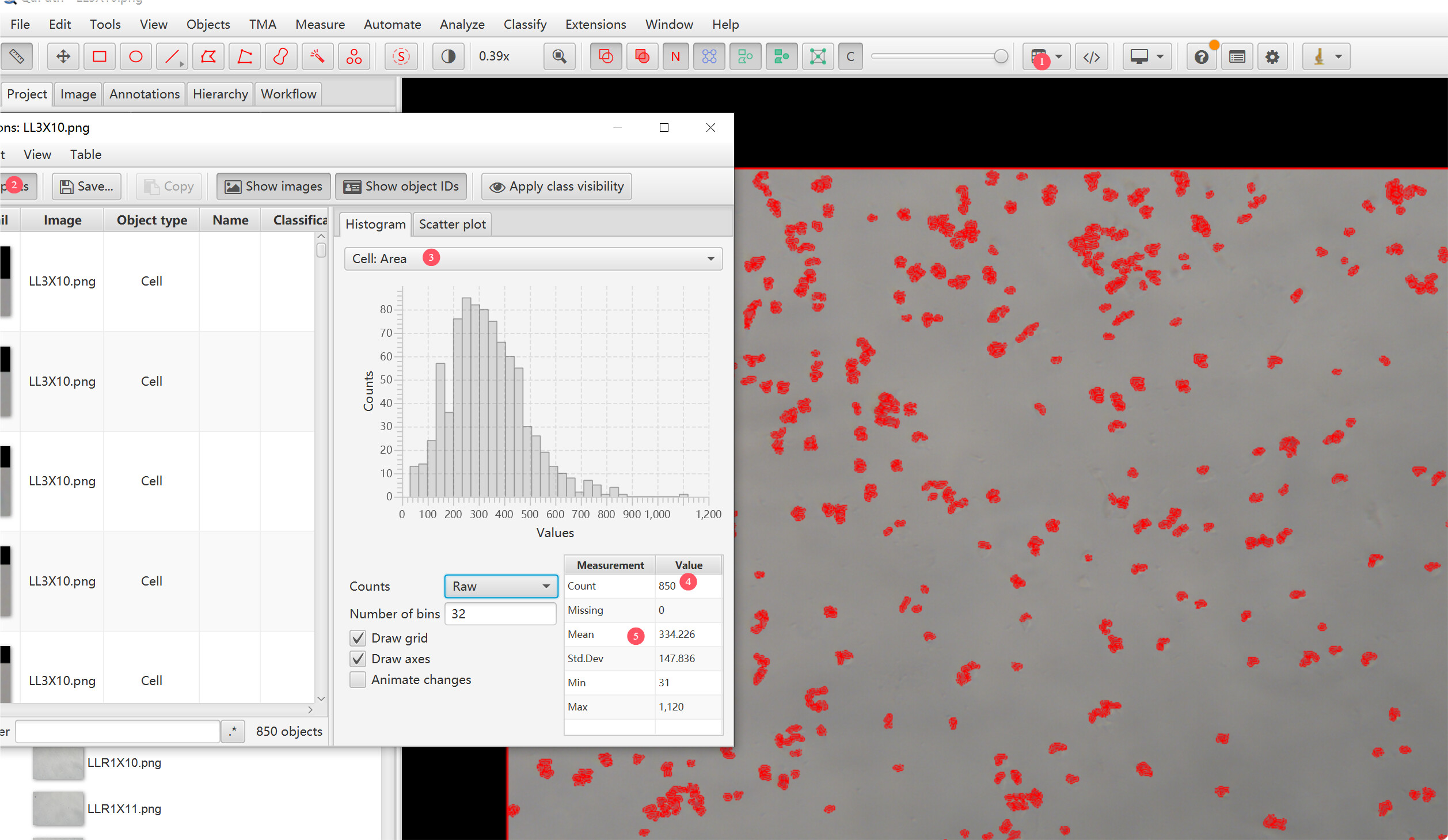 How to export the cell areas from QuPath directly - Image Analysis - Image.sc Forum