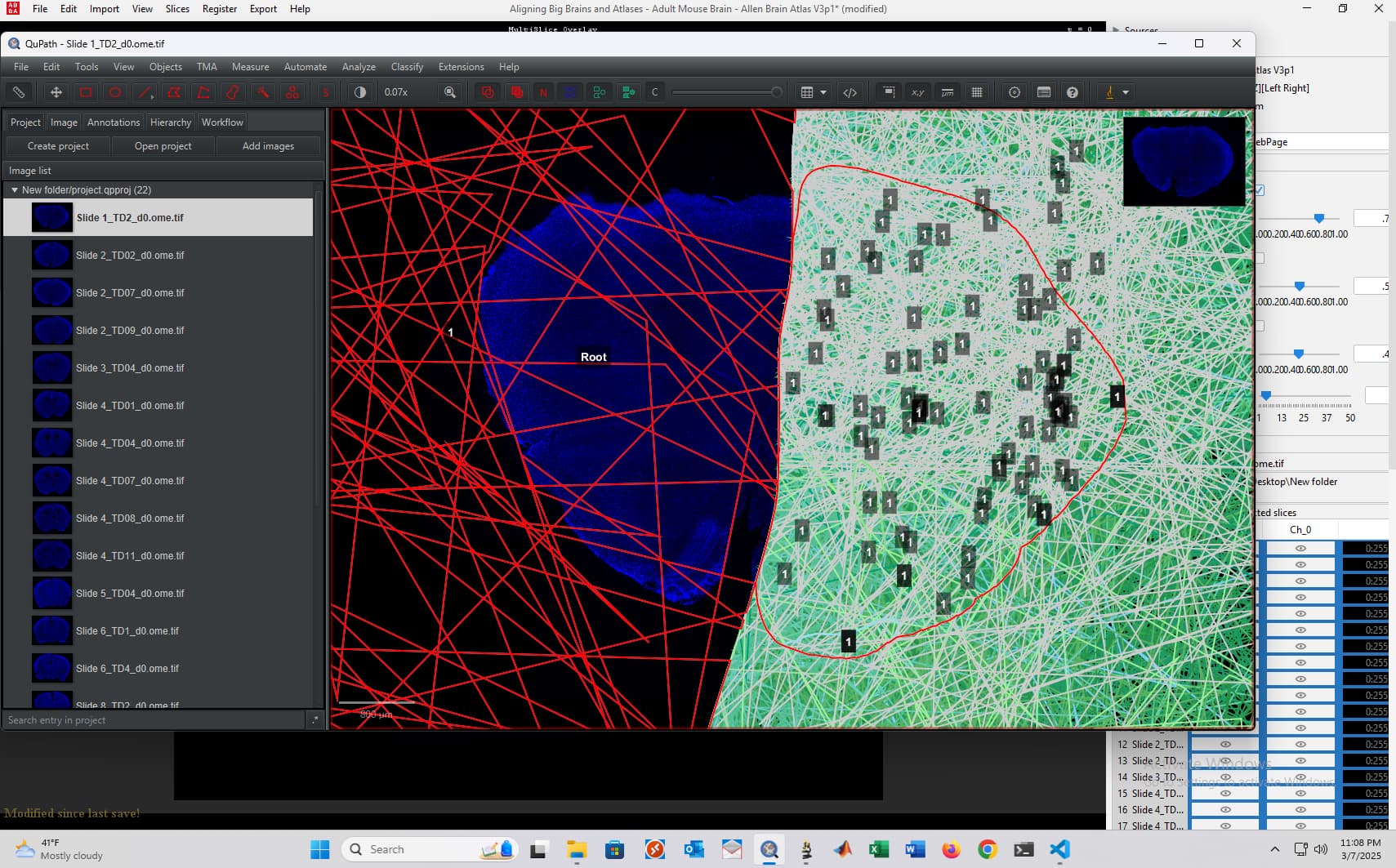 ABBA + Deepslice on Mac = angles but not translation - Image Analysis - Image.sc Forum