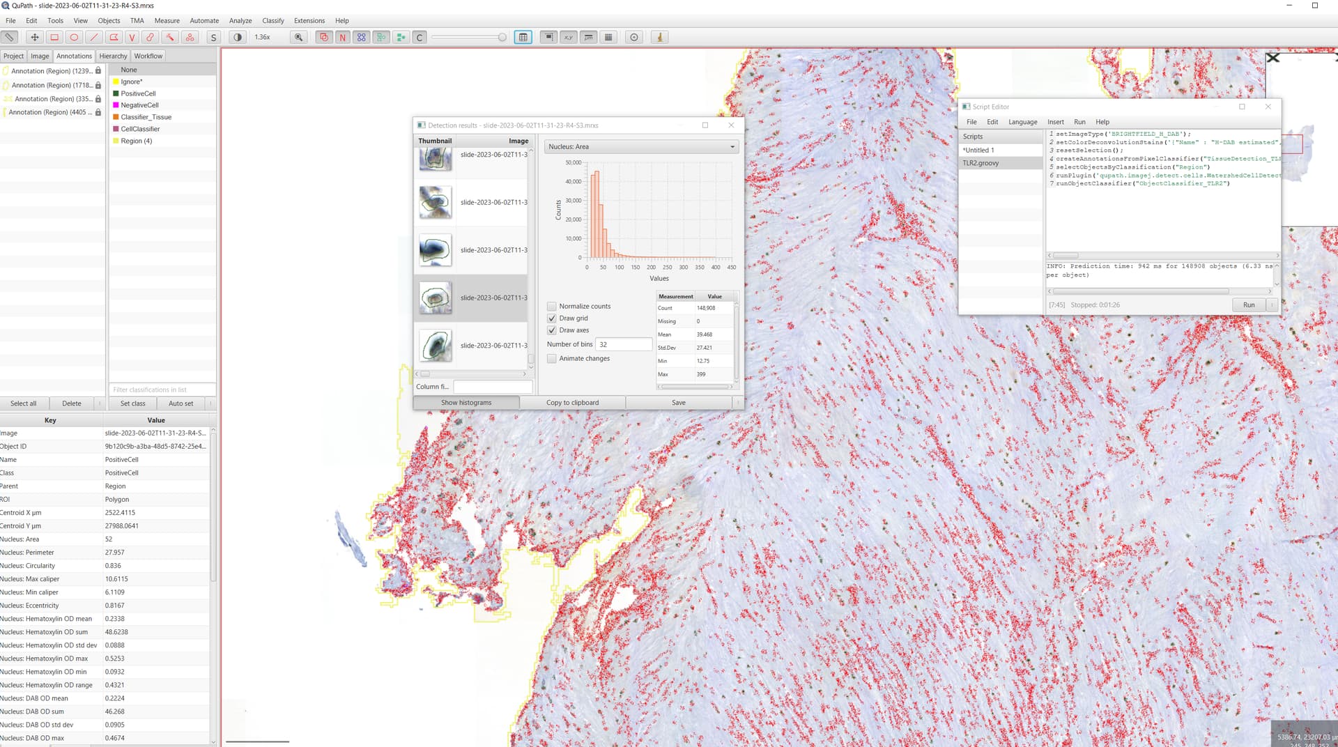 Automatic data export in QuPath - Image Analysis - Image.sc Forum