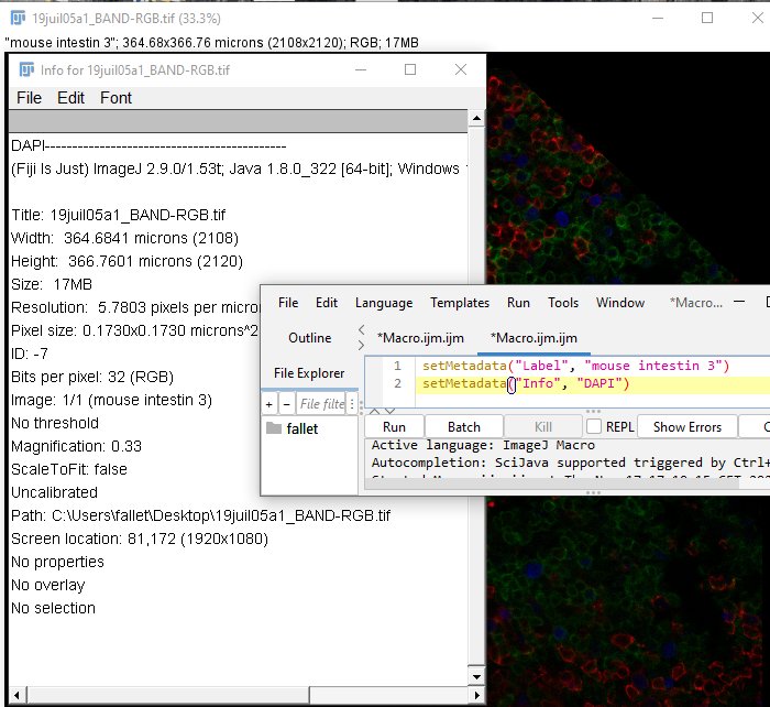 How to write text description on TIF image header in ImageJ? - Development - Image.sc Forum