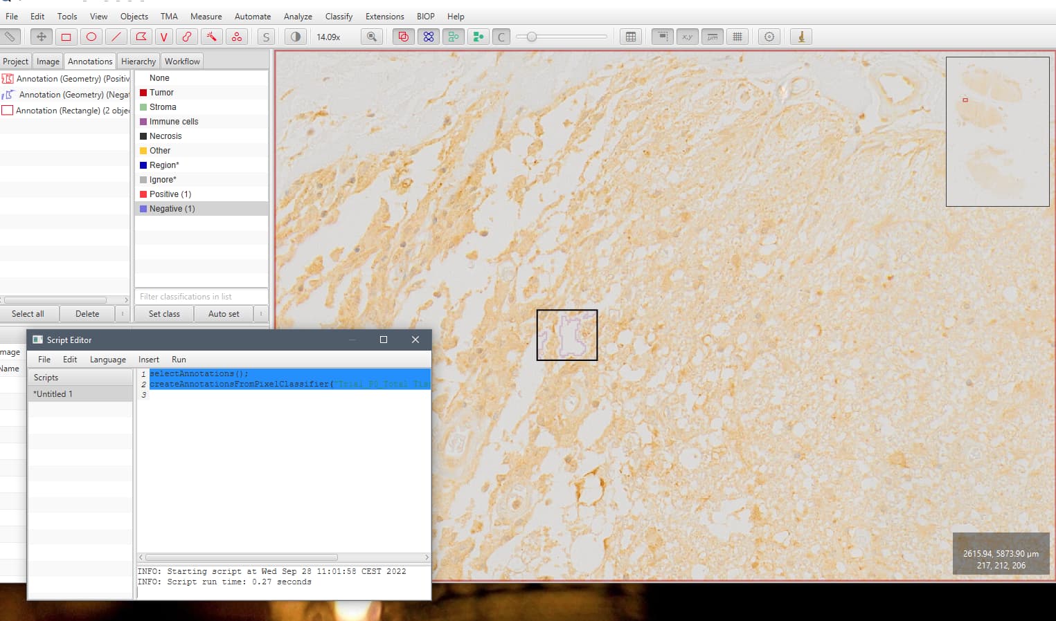 Classification for a single annotation works with run but not with run ...